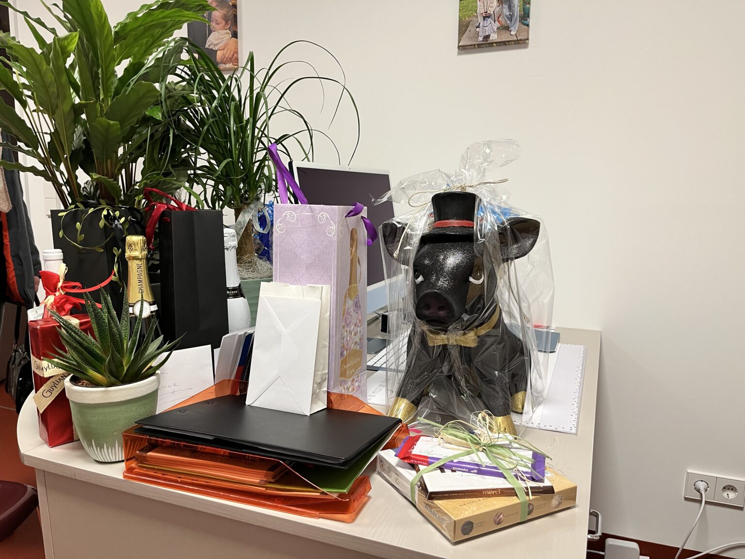 Aktuelles ‣ Urologische Praxis Gransee